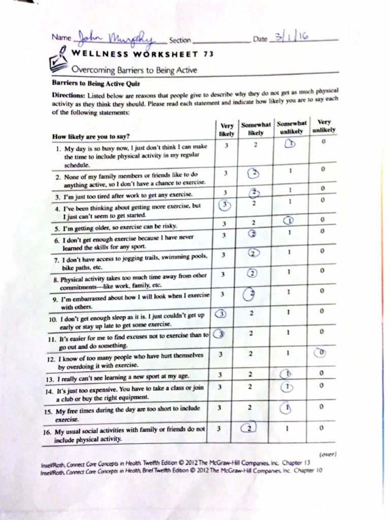 Wellness Worksheet 73 | PDF