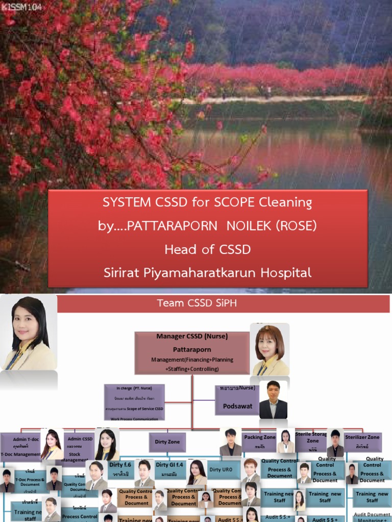 Systematic Organization and Quality Management of the Central Sterile ...