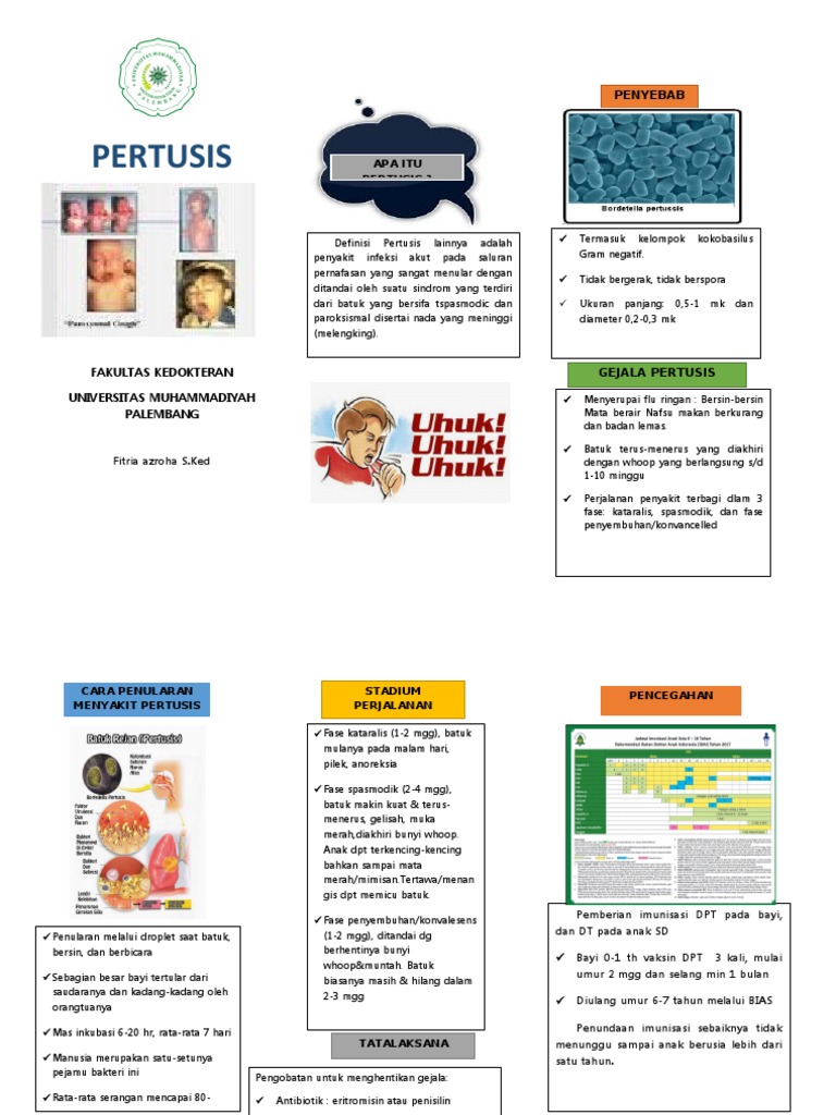 Leaflet Pertusis | PDF