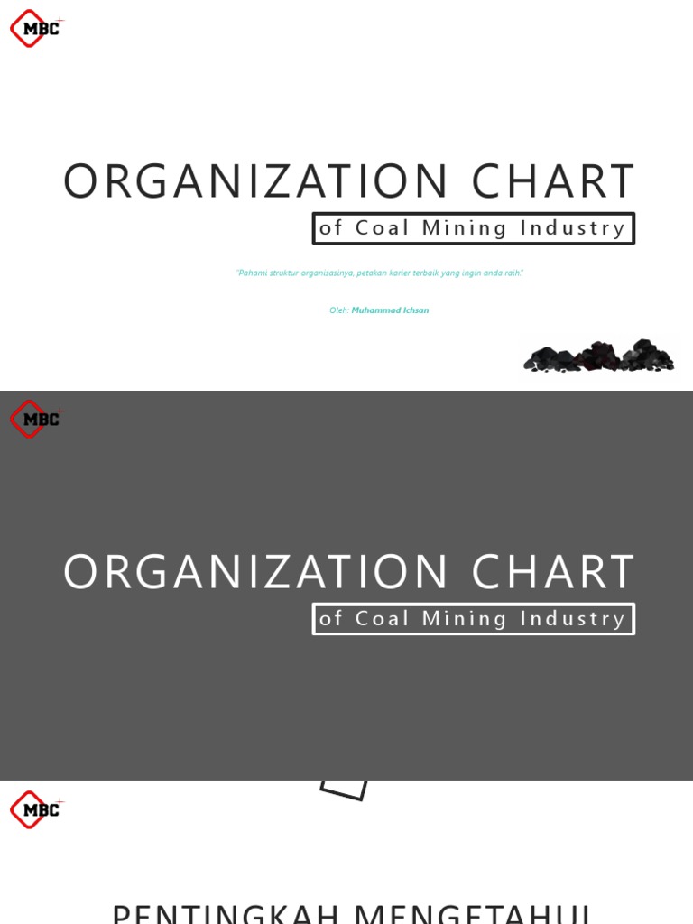 Mining Company Organizational Structure | PDF