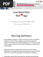 CORE Back Tool | PDF | Low Back Pain | Back Pain