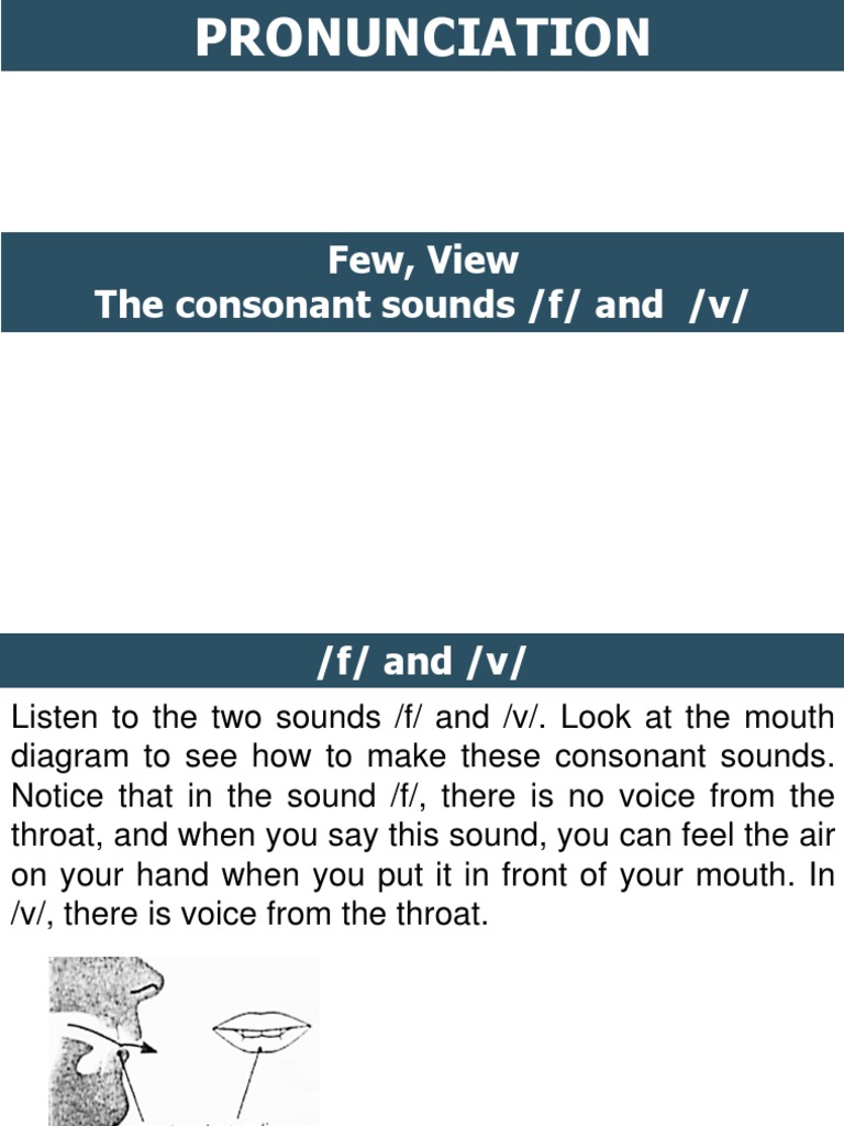 The Consonant Sound F and V (7.1) PDF | PDF | Human Voice | Sound