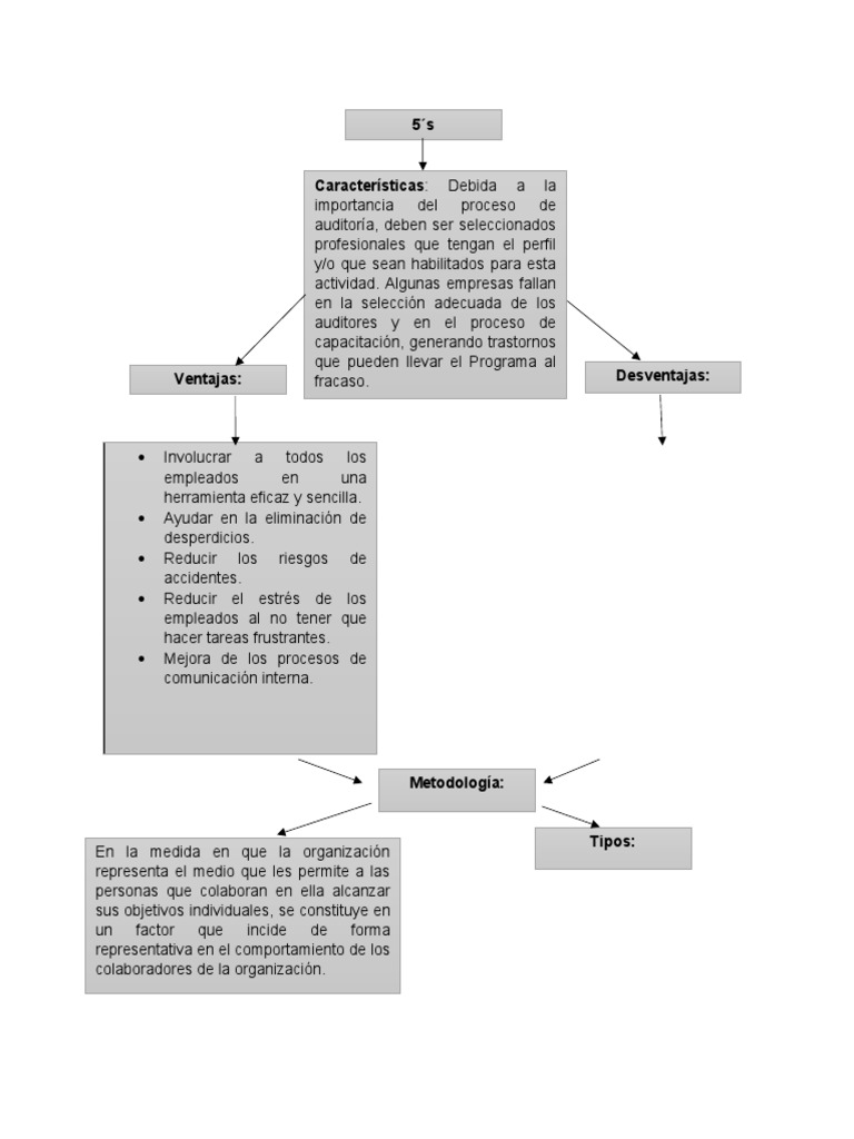 Mapa Conceptual de 5s | PDF