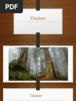 Timber Conversion | PDF | Wood | Lumber