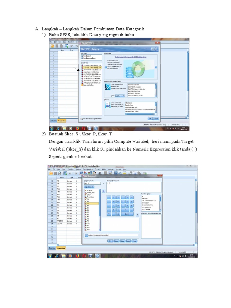 Panduan Pembuatan Data Kategorik di SPSS | PDF | Karier & Perkembangan ...