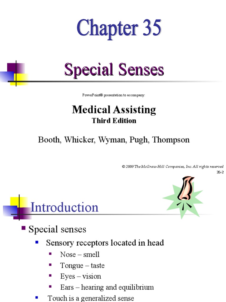 Special Senses | PDF | Ear | Taste