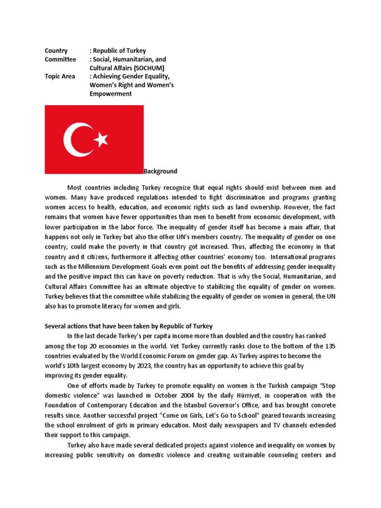 Achieving Gender Equality in Turkey: Recommended Actions and ...