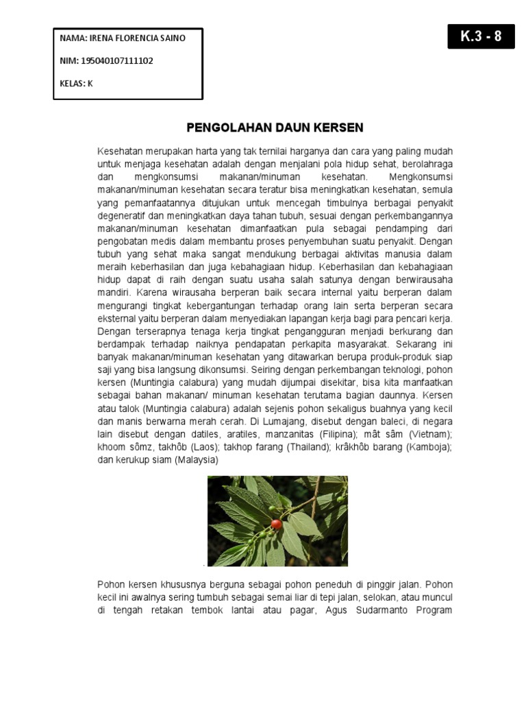 Daskom Pengolahan Daun Kersen | PDF