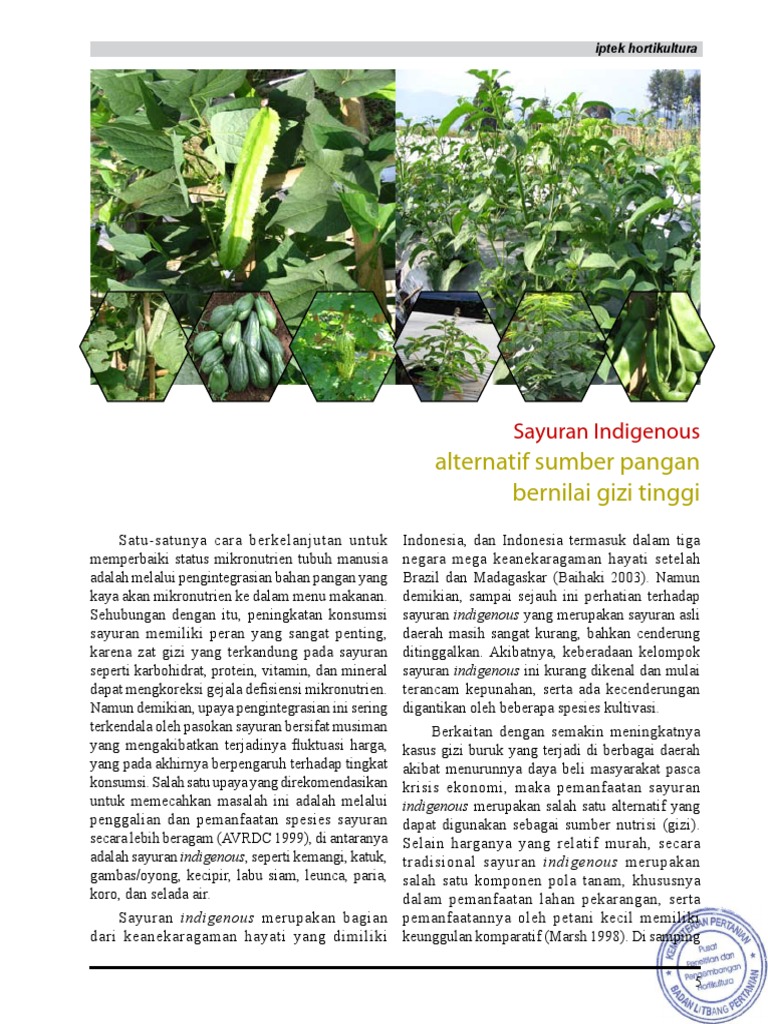 Soetiarso Indigenous | PDF