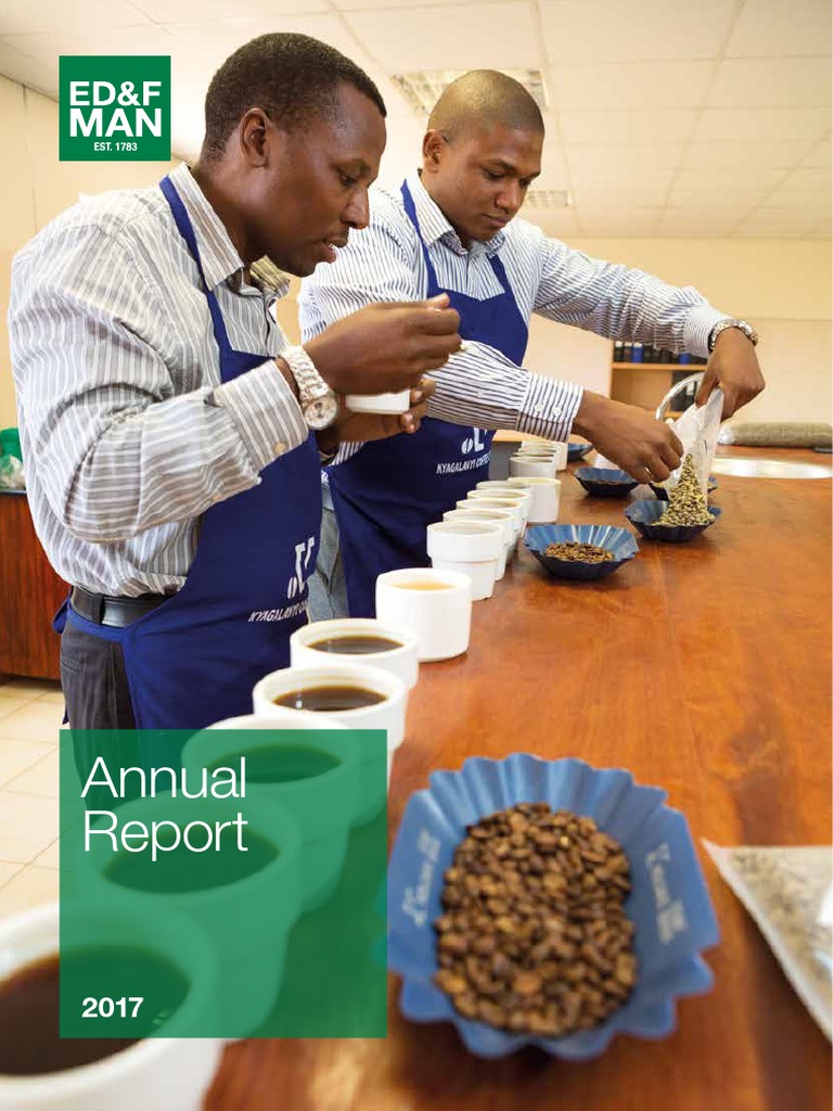 Edf Man - Annual Report 2017 | PDF | Derivative (Finance) | Business