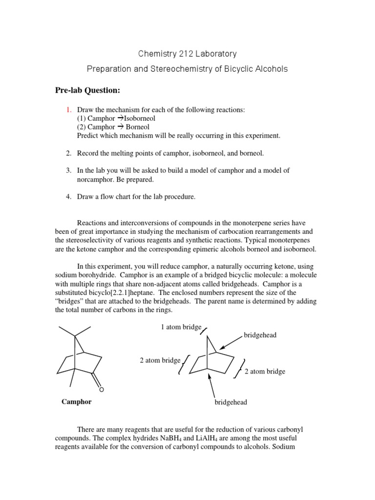 Exp07 Stereochem Camphor New | PDF | Organic Chemistry | Chemistry