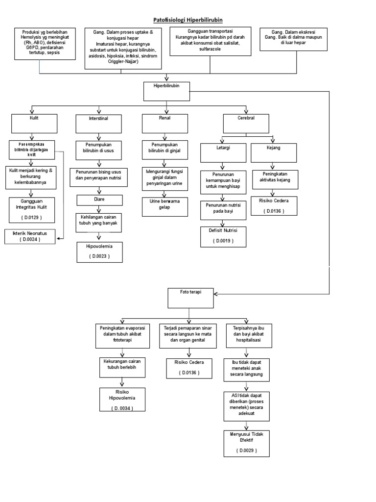Patofisiologi Hiperbilirubin Neonatus | PDF