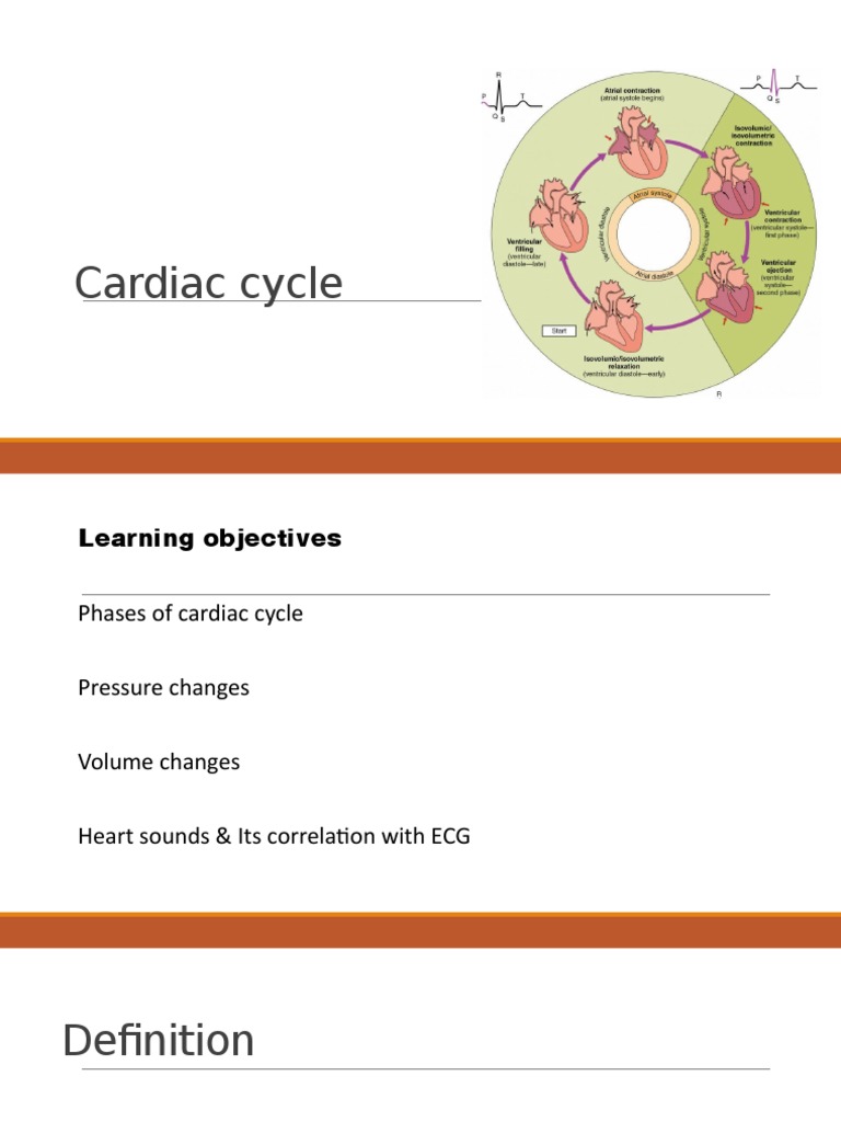 Overview of the Cardiac Cycle | PDF | Heart Valve | Ventricle (Heart)