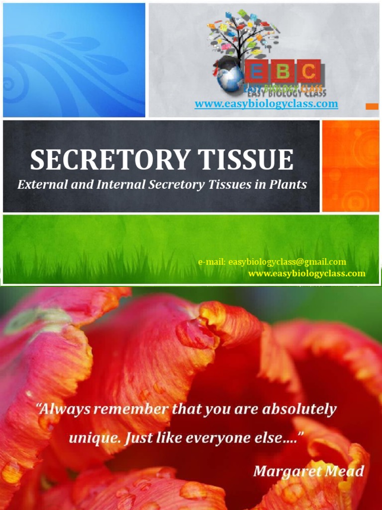 Secretory Tissue in Plants | PDF