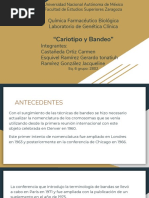 Tecnicas de Bandeo | PDF | Cromosoma | Citogenética