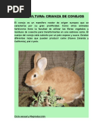 El Ciclo de Vida Del Conejo | PDF