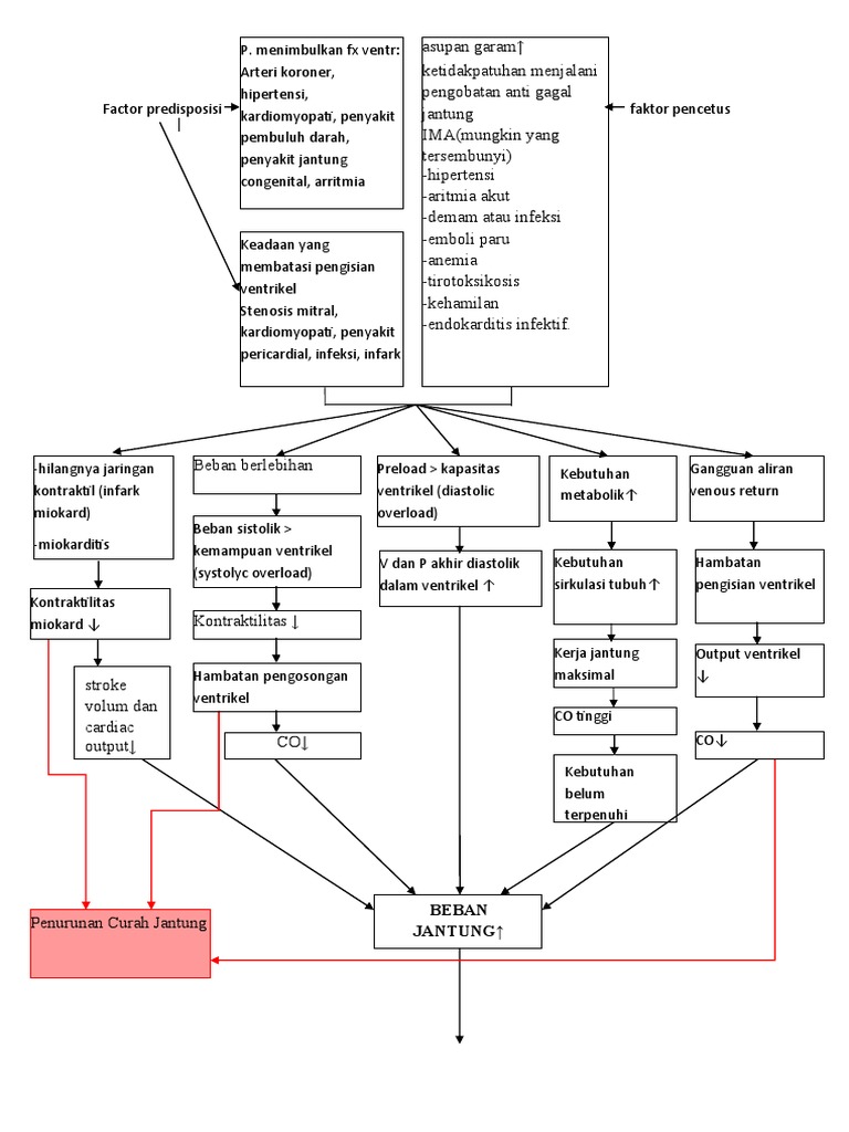 Pathway Penyakit Cad | PDF