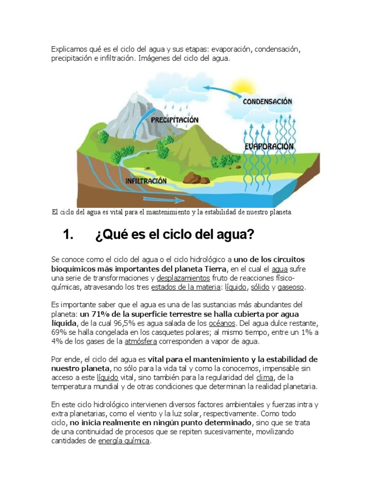 Ciclo Del Agua y Sus Etapas | PDF | El ciclo del agua | Agua
