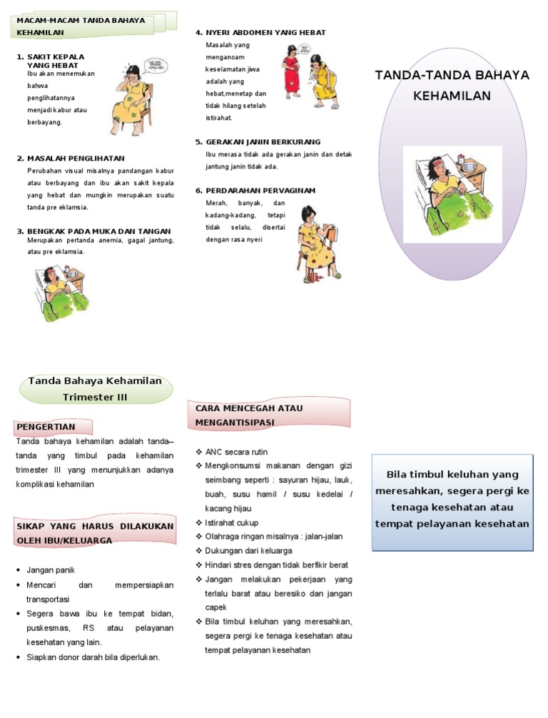 Leaflet Tanda Bahaya TM 3 | PDF