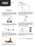 Ejercicios de Codman y Chandler | PDF | Hombro | Enfermedades y trastornos