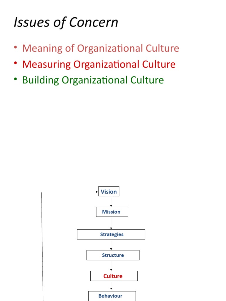 Issues of Concern: - Meaning of Organizational Culture | PDF ...