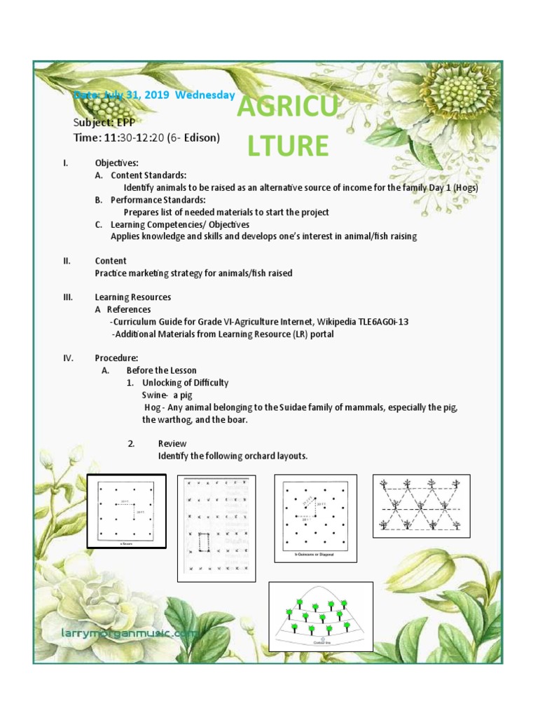 Cot LP Agriculture 1st QRTR | PDF | Pig | Domestic Pig