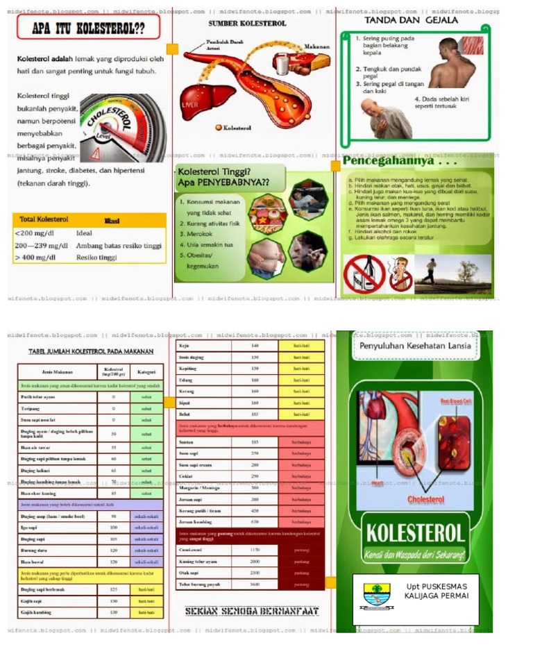 Leaflet Cholesterol | PDF