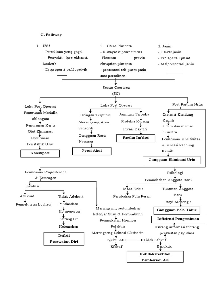 G. Pathway: Lintasan Persalinan Normal dan Komplikasinya serta Penanganannya | PDF