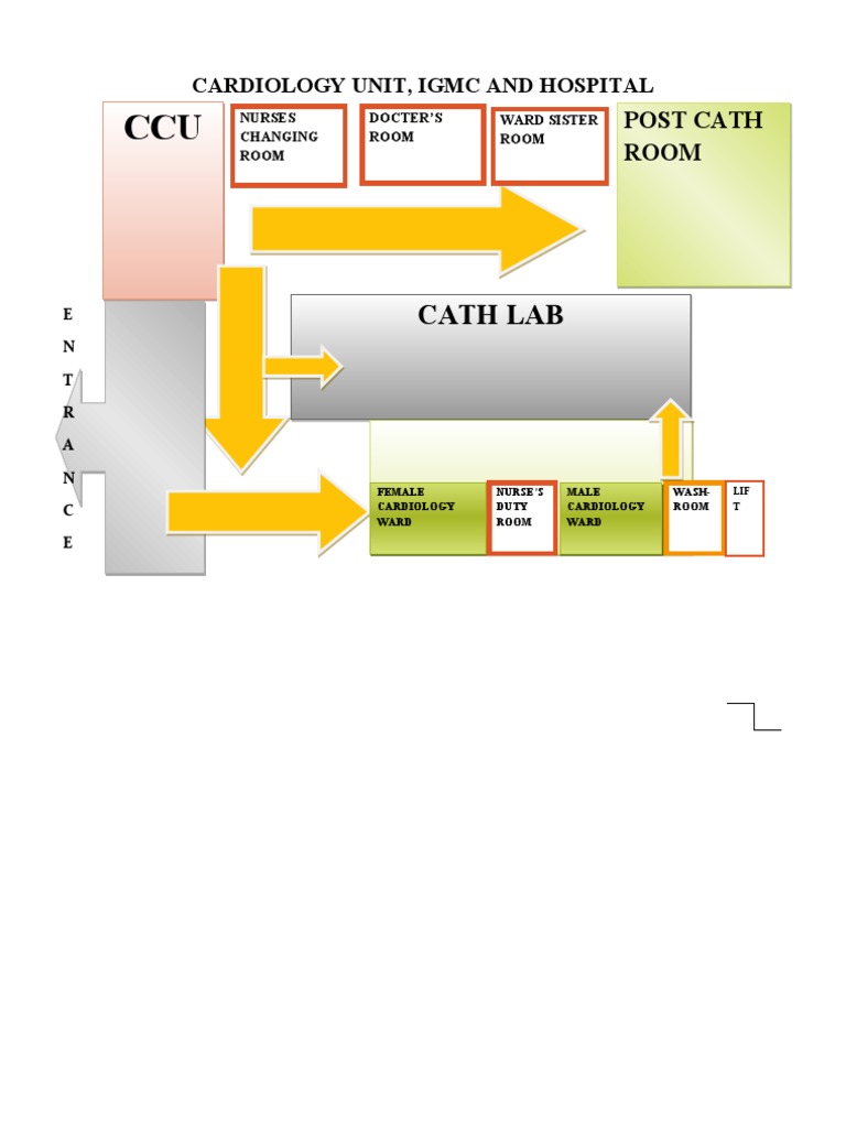 Cardio Orientation | PDF | Cardiology | Coronary Artery Disease