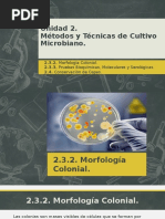 Signo del Témpano y Fabela en Rodilla | PDF | Rodilla | Pie