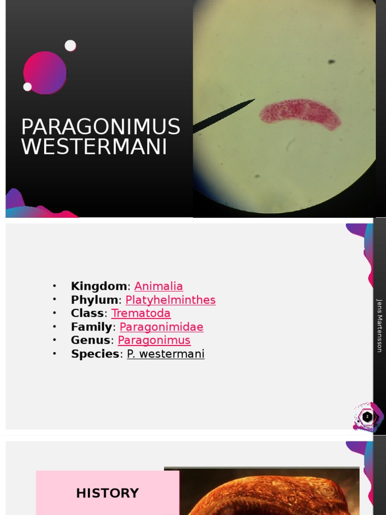 Paragonimus westermani Life Cycle Overview | PDF | Epidemiology ...