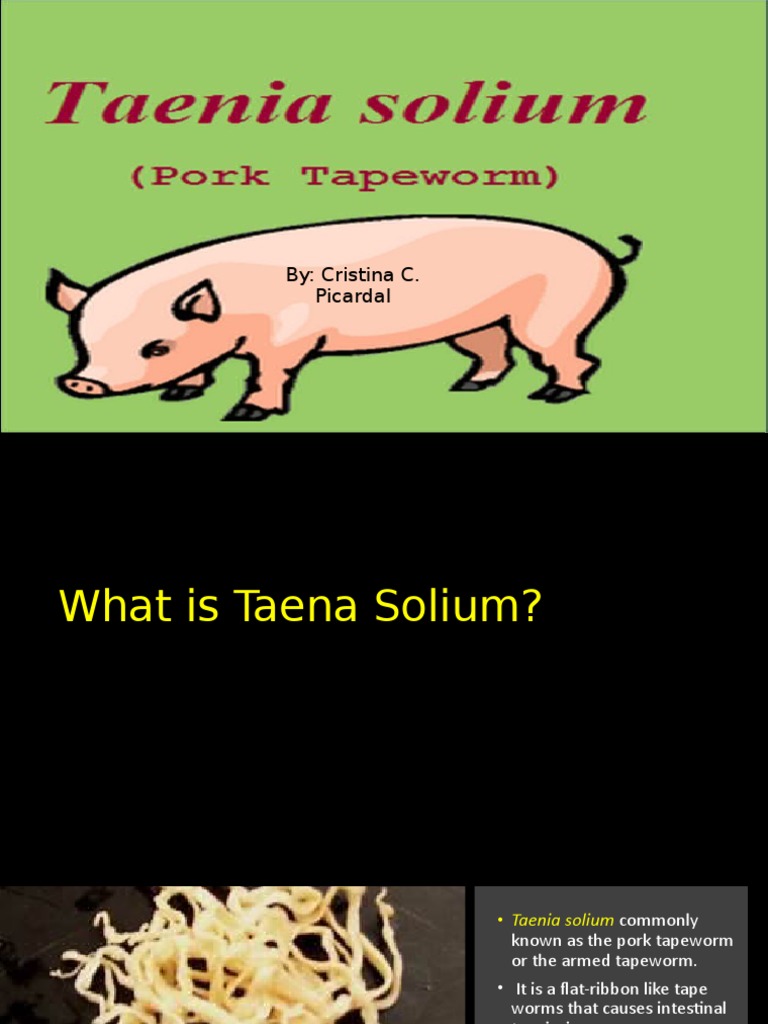 Taena Solium TINAAAAA | PDF | Medical Specialties | Organisms