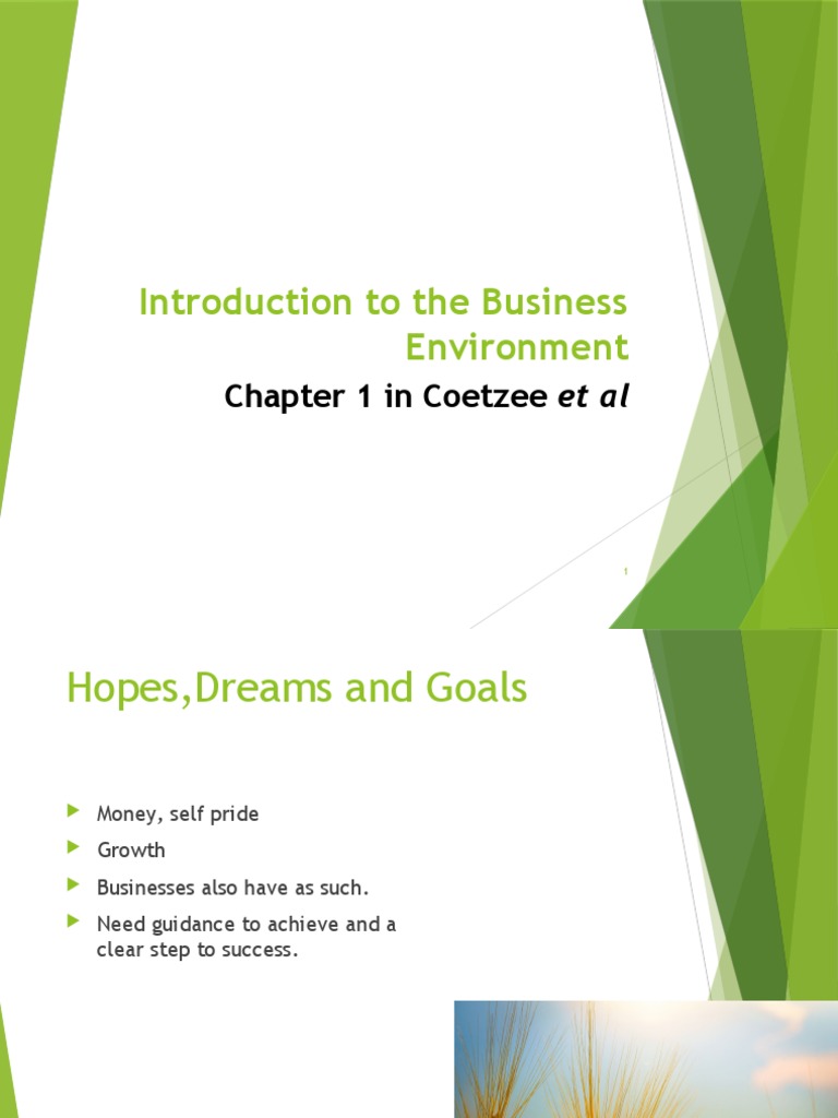 1 Introduction To The Business Environment | PDF | Internal Audit ...