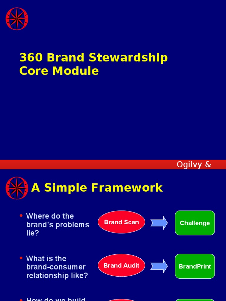 360 Brand Stewardship: A Framework for Diagnosing Brand Challenges and ...