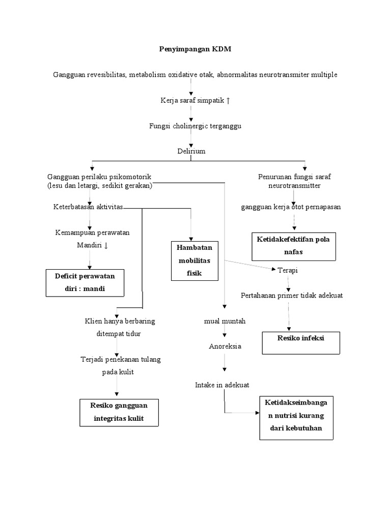 Penyimpangan KDM | PDF