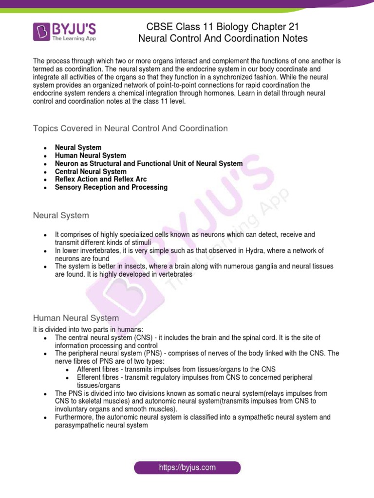 CBSE Class 11 Biology Chapter 21 Neural Control and Coordination Notes ...