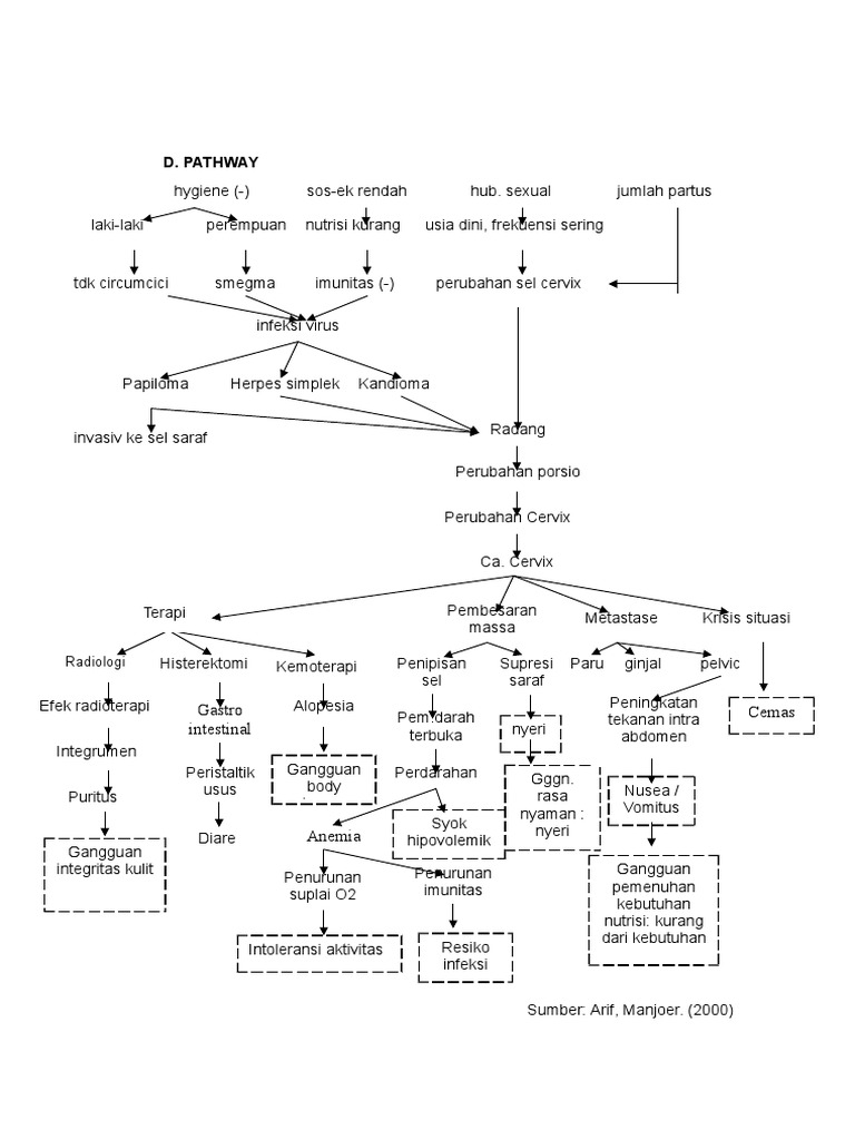 Pathway Ca Serviks | PDF