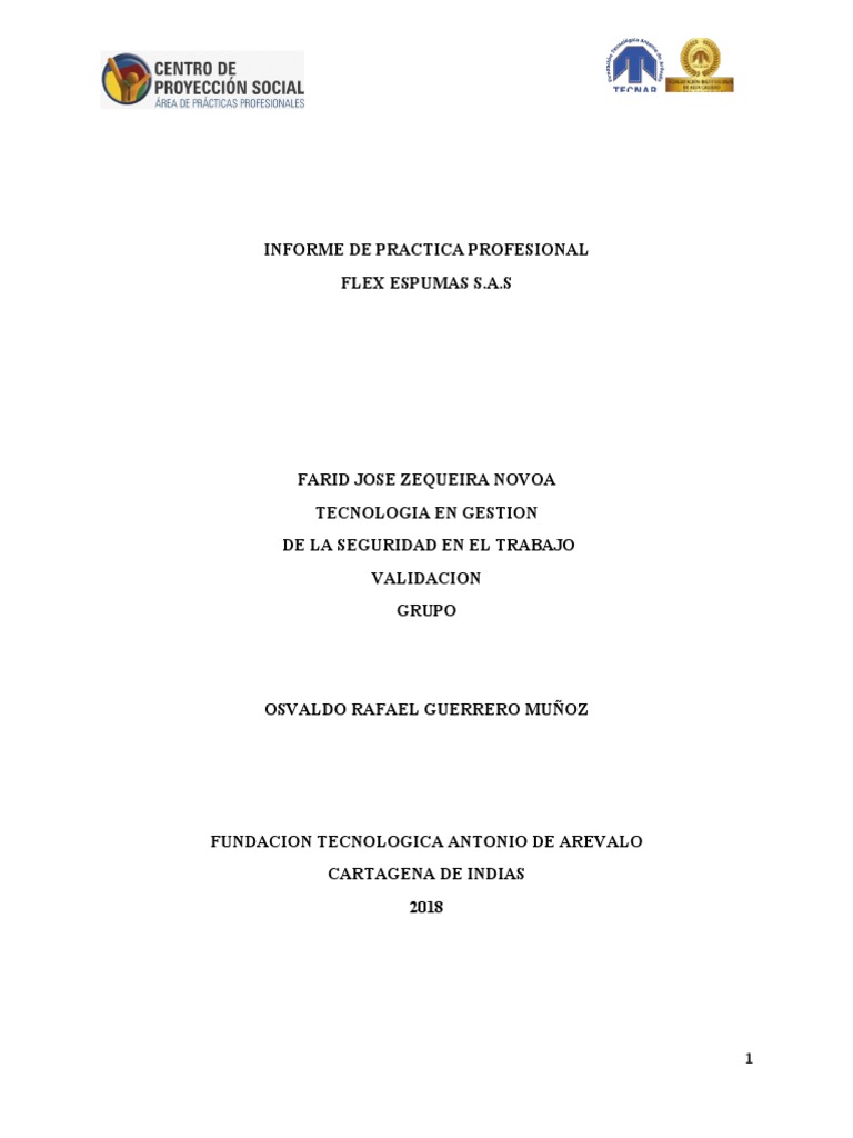 Modelo Informe de Practica Profesional Avance | PDF | Calidad ...