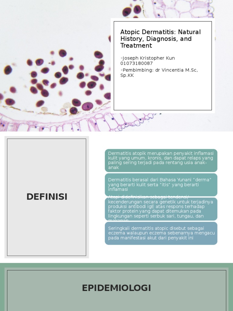 Panduan Lengkap Dermatitis Atopik | PDF