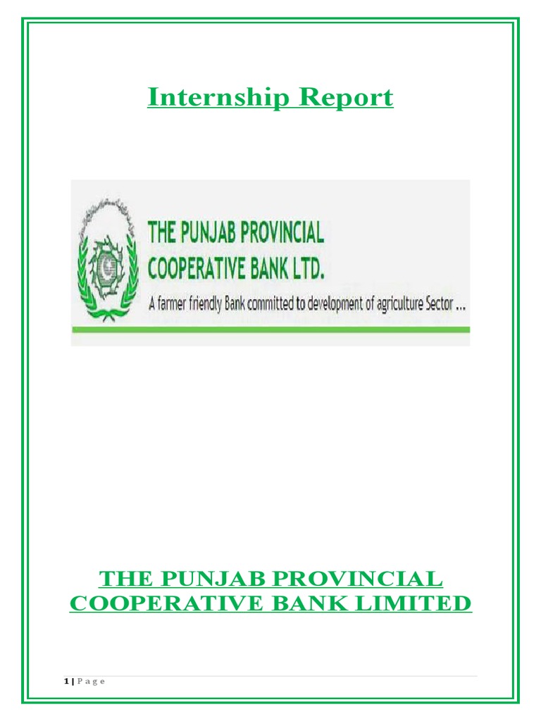 Internship Report | PDF | Financial Ratio | Corporations