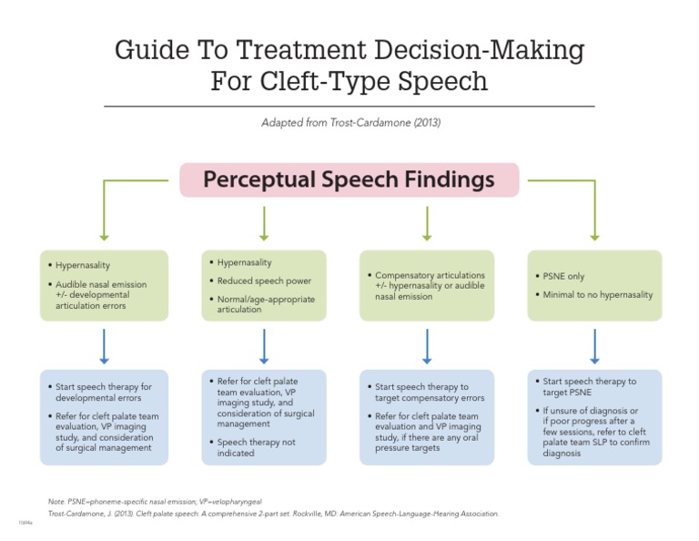 Cleft Palate Speech Treatment Guide | PDF | Speech Language Pathology ...