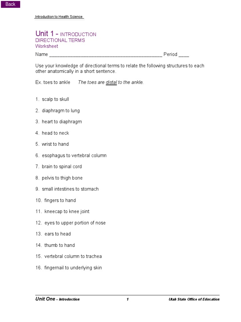Directional Terms Worksheet Answers | PDF | Science & Mathematics