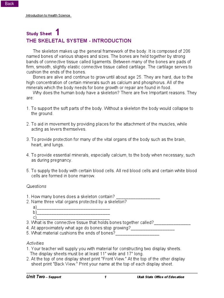 Skeletal System Study Sheets | PDF | Vertebral Column | Skull
