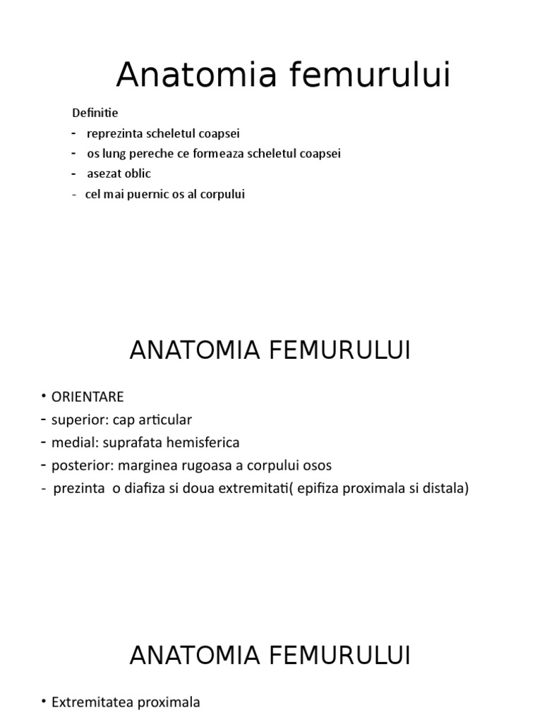 Anatomia Femurului | PDF