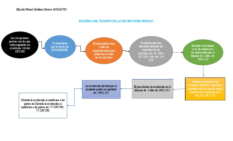 Esquema Del Trámite de Las Excepciones Previas | PDF | Gobierno | Justicia
