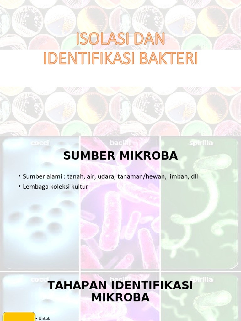 Isolasi Dan Identifikasi Bakteri | PDF | Kesehatan Holistik | Teknologi ...