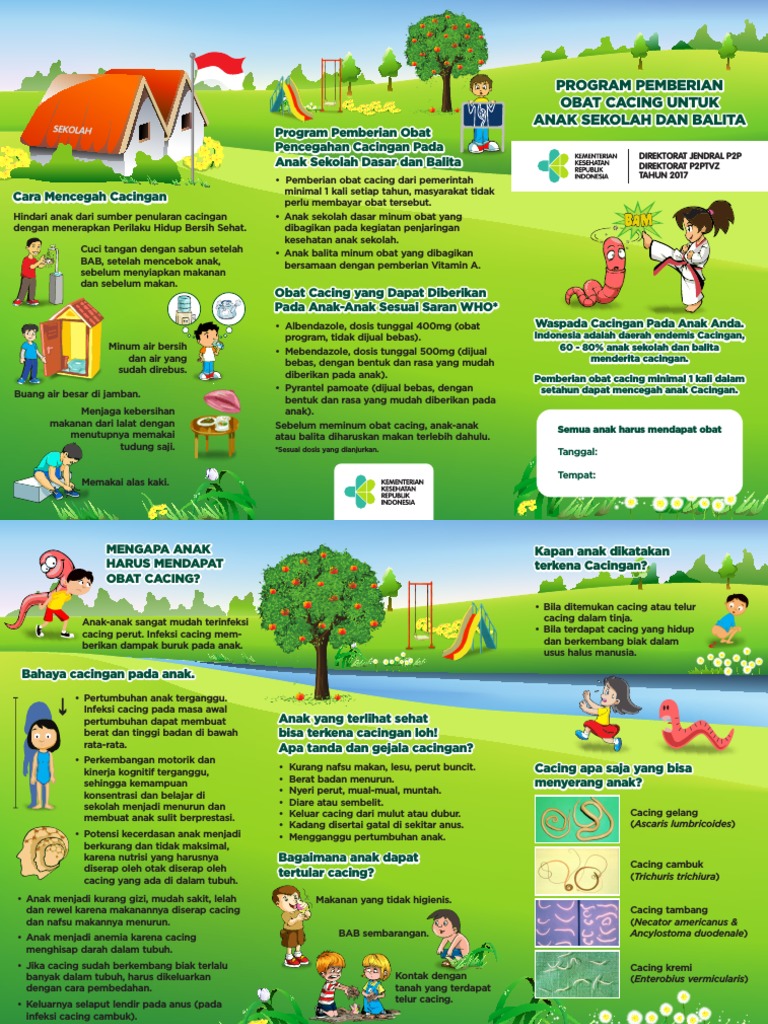 Leaflet Program Obat Cacing OKE PDF | PDF