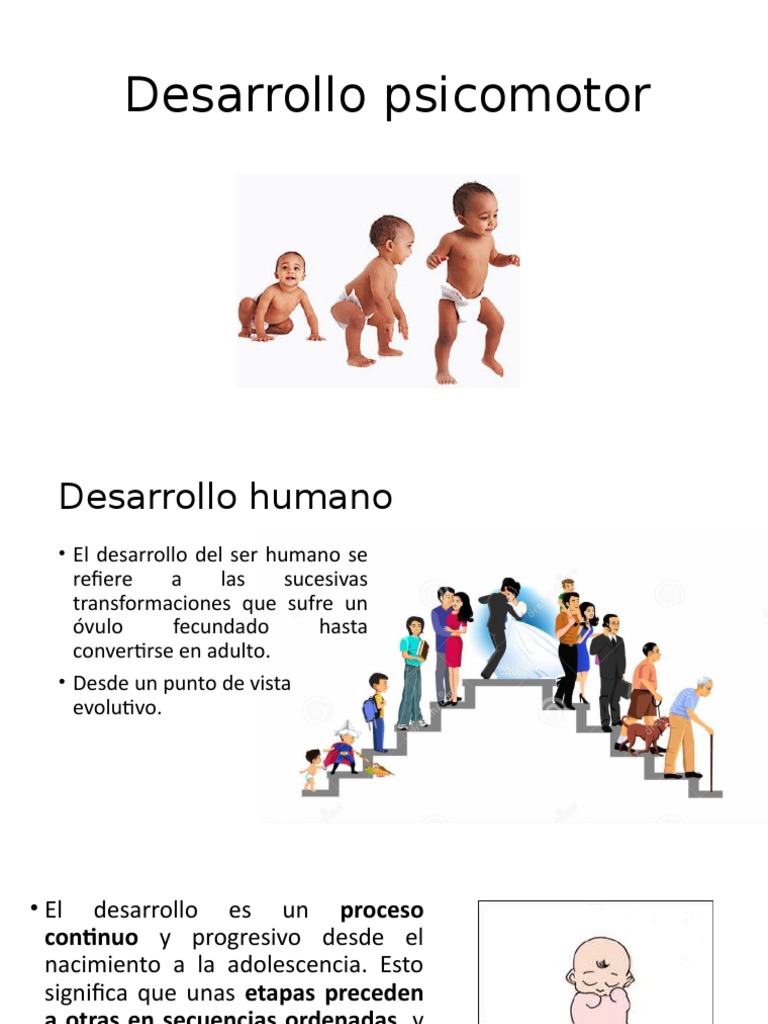 Desarrollo Psicomotor Del Niño | PDF | Músculo | Adolescencia