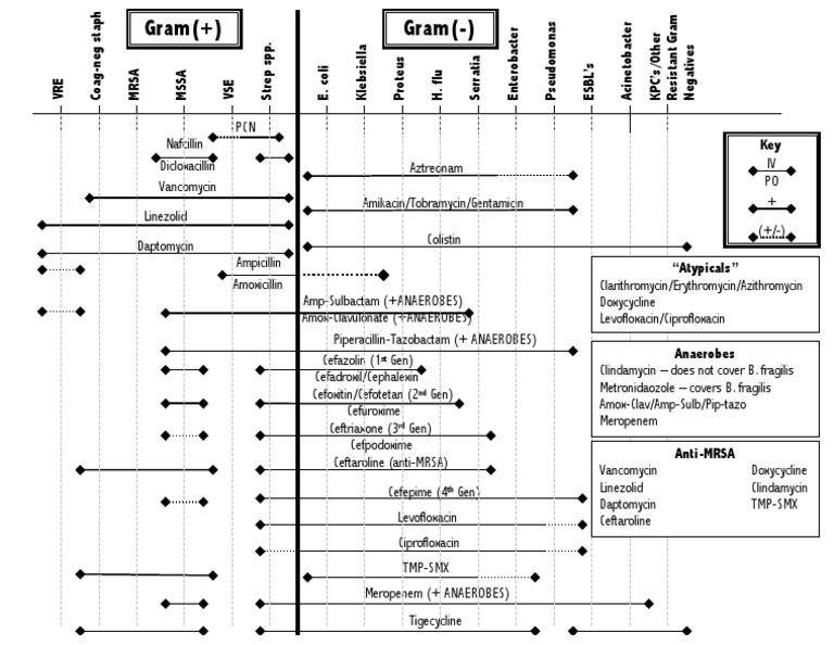 Antibiotic Sensitivity Chart | Download Free PDF | Beta Lactamase ...