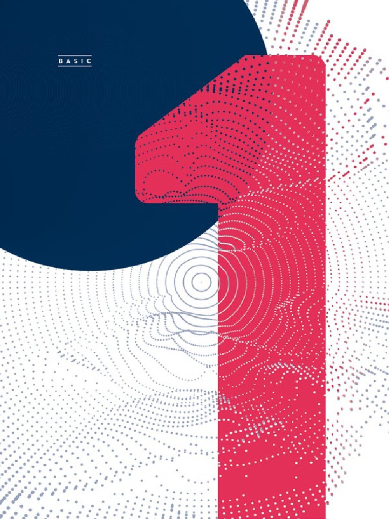 Basic 1 - Lesson 4 | PDF | Adjective | Languages